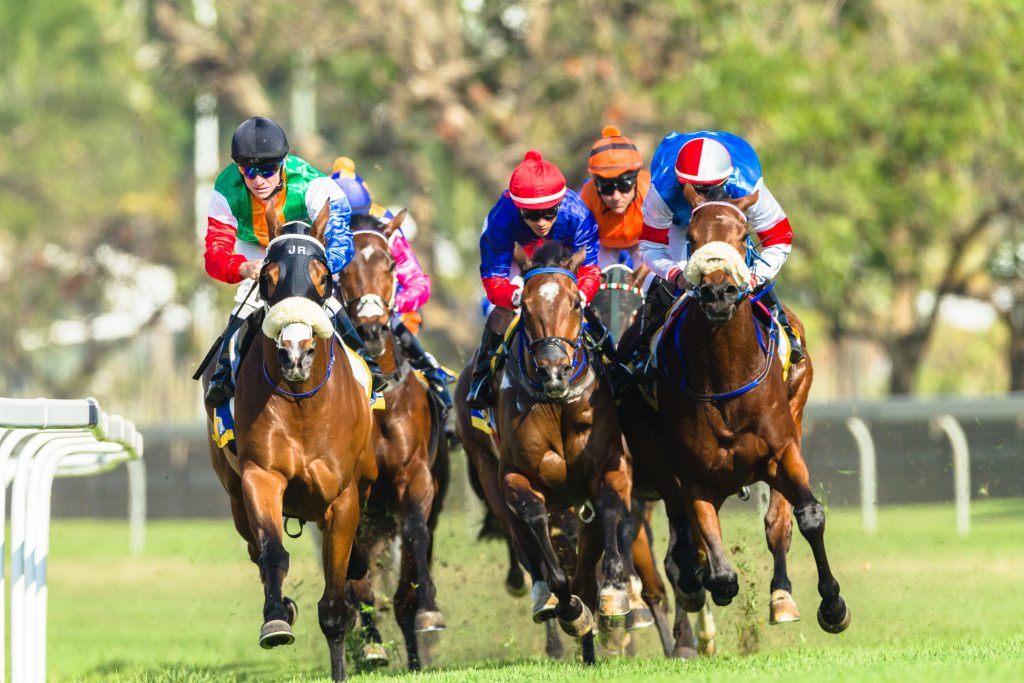 BHA plans to boost engagement through digital technology - Insider Sport