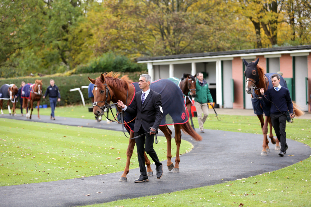 British Horseracing hires HEROS in ‘collective responsibility’ for ...